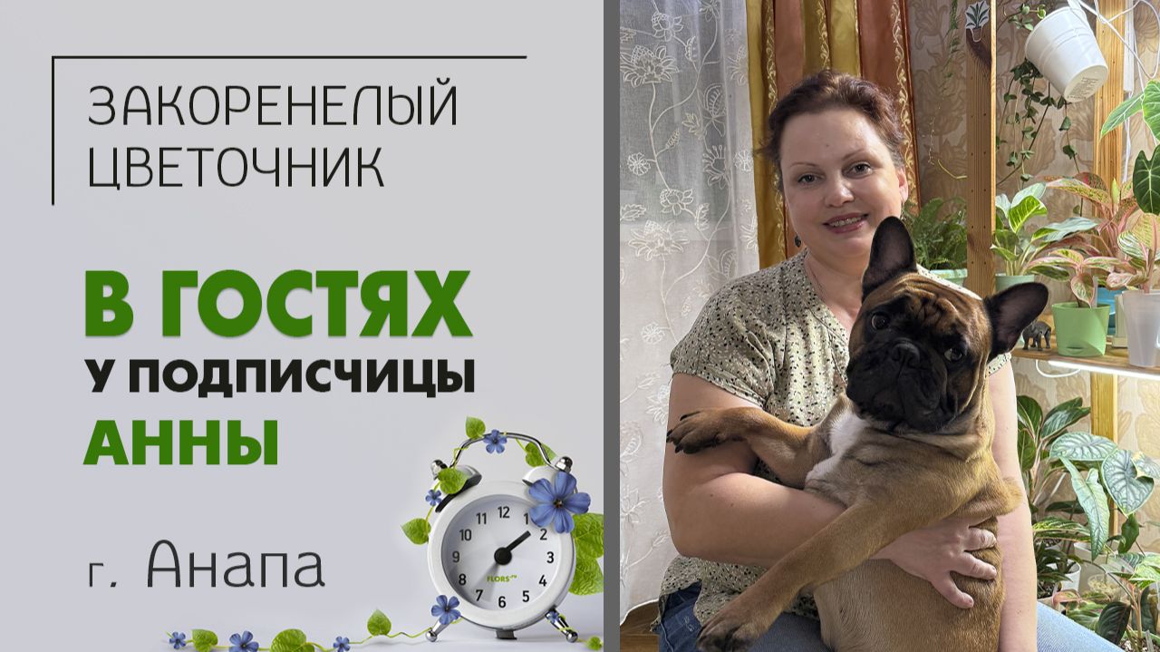 В гостях у Анны. г. Анапа. Уютный дом, интересная коллекция комнатных растений и чудесный пёс.