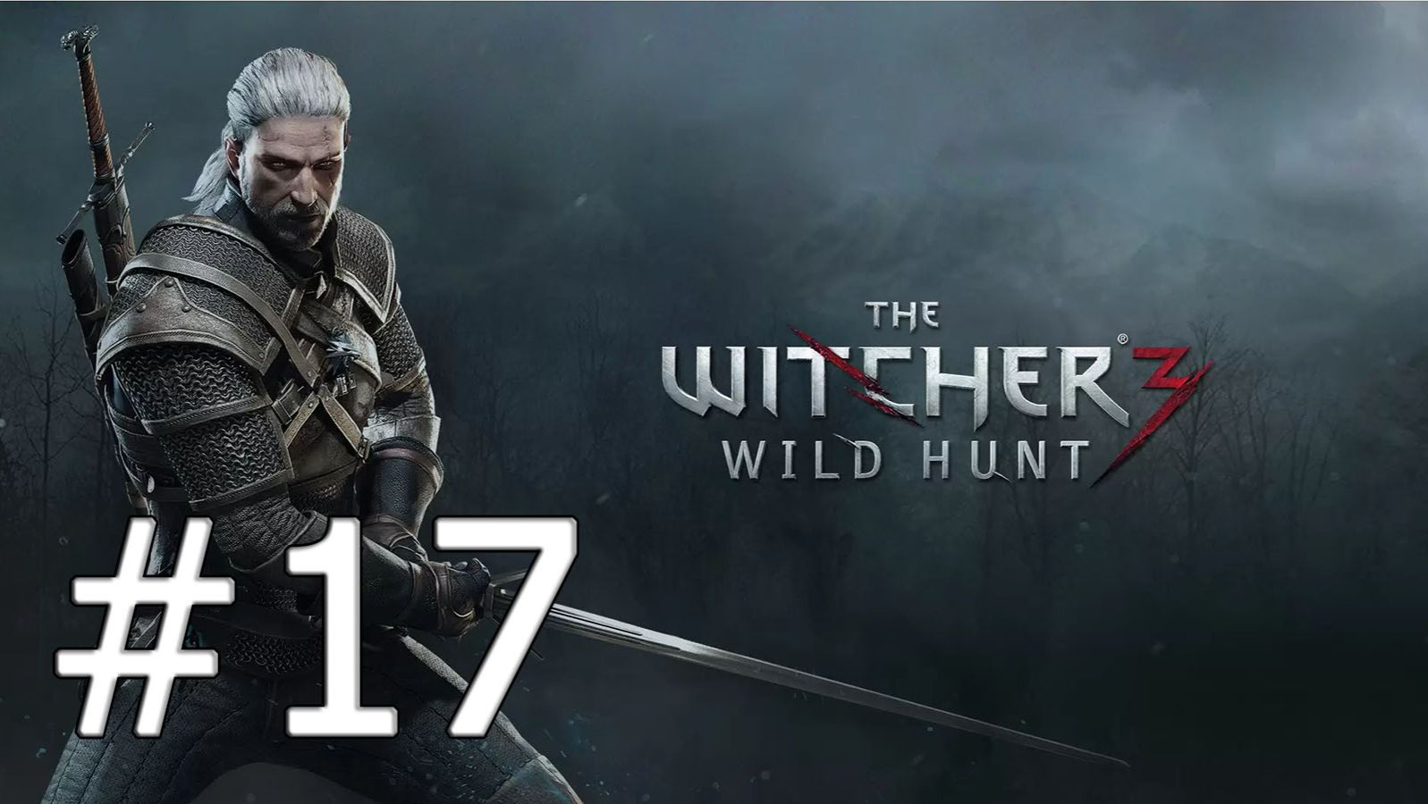 Ведьмак 3 Дикая Охота #17