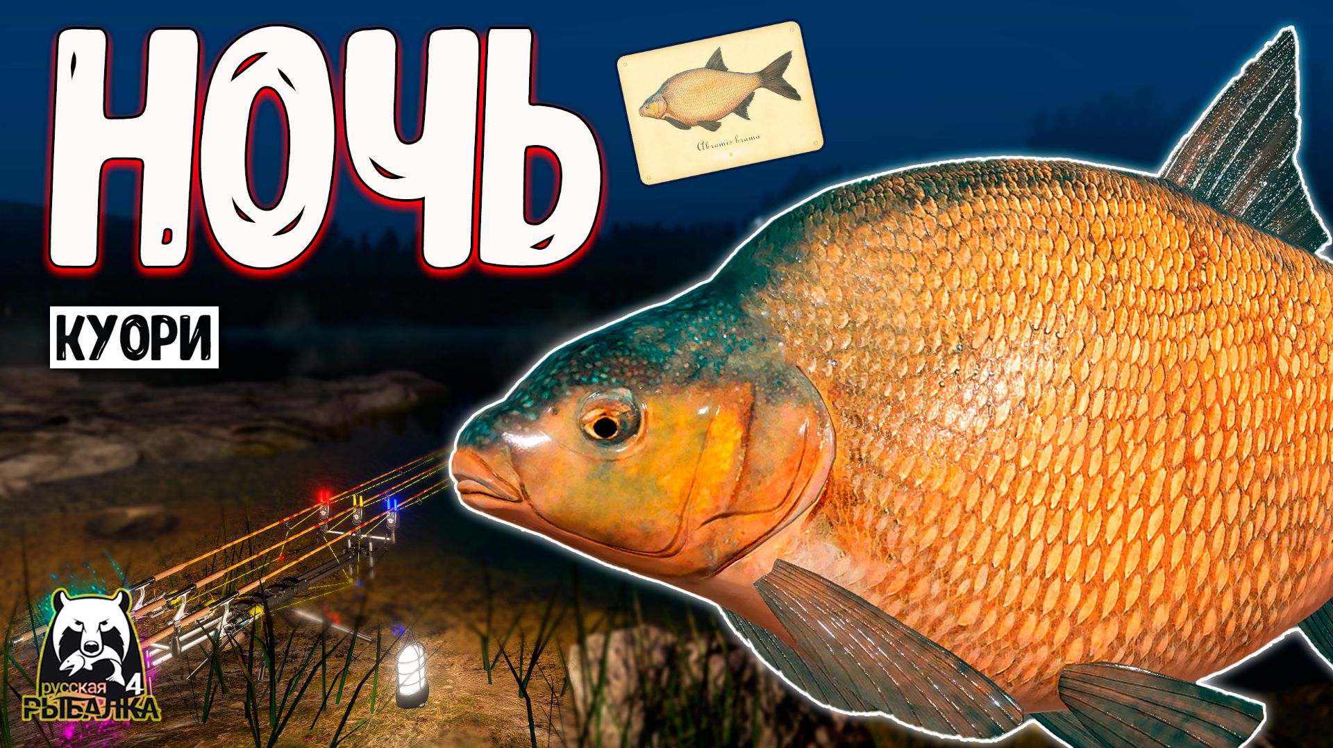 Rf4 эти рыбки подходят в ночное время #рр4