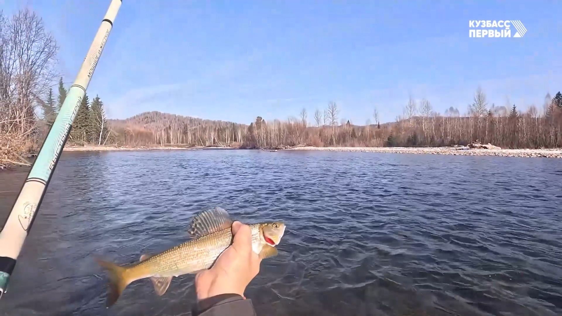 Сибирский лов. Выпуск 97