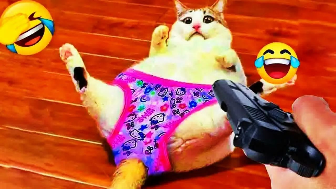 Смешные и забавные животные 😻😺 Лучшие приколы с животными 🐶 Подборка забавных животных