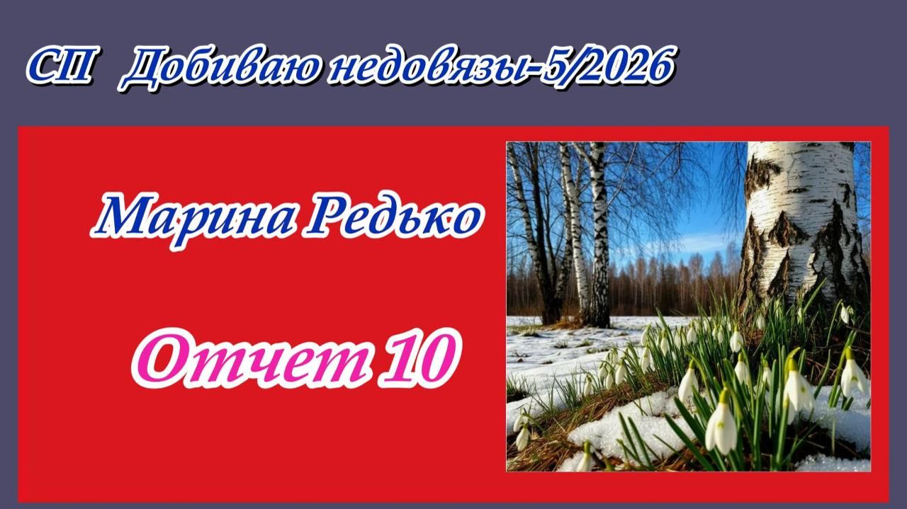СП "Добиваю недовязы-5/2026" / Отчет 10