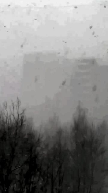 Начался мощный снегопад в Москве