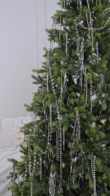 Ель КНЯЖЕСКАЯ дождик