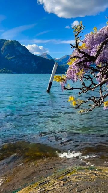 Доброе утро Цветы и горы