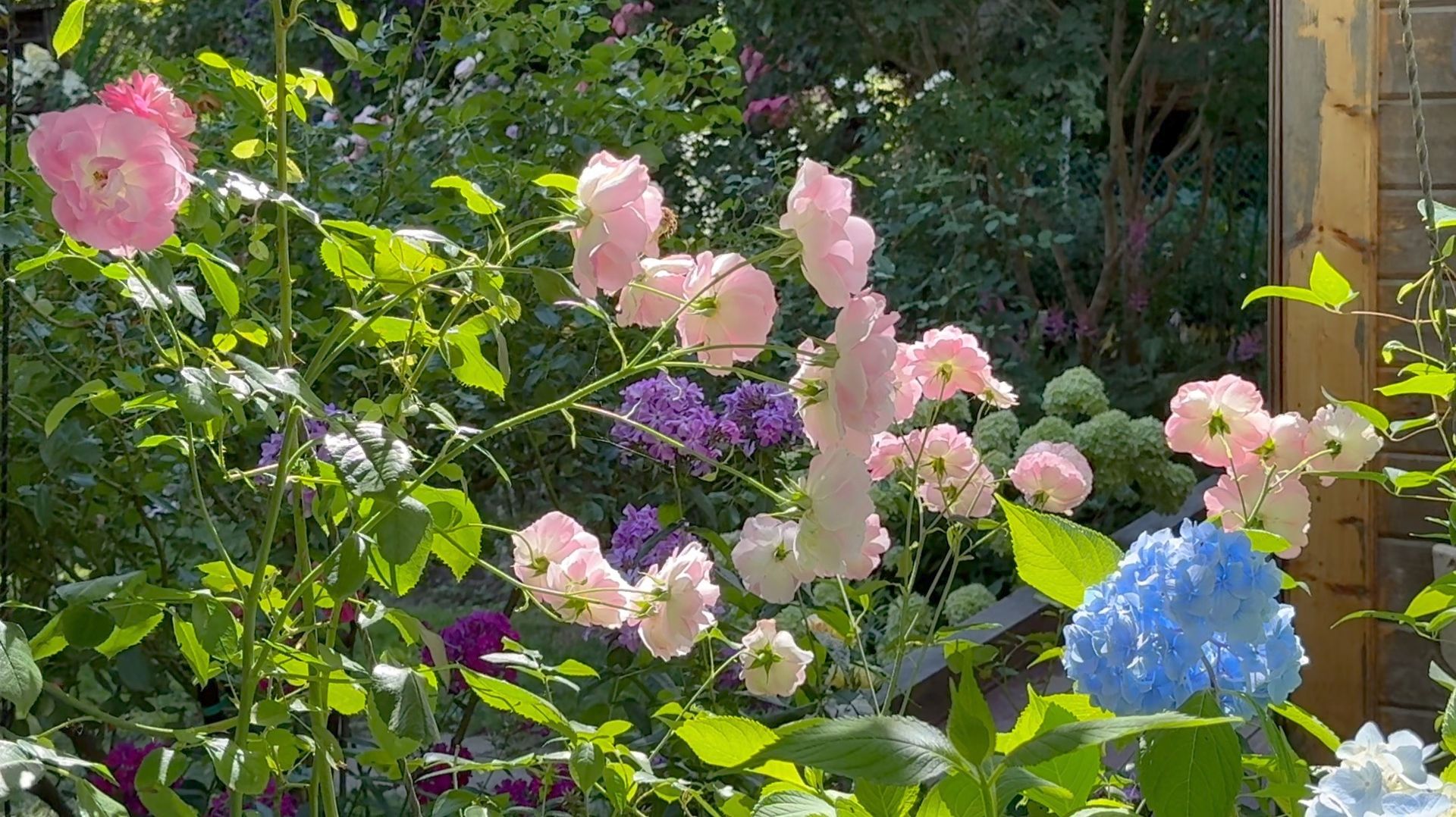 Август в Саду вечер 11 и 14 августа 2025