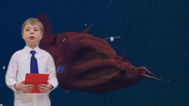 СОШ 18_Попов Михаил_Чайкова Н.Н._Кальмар-вампир