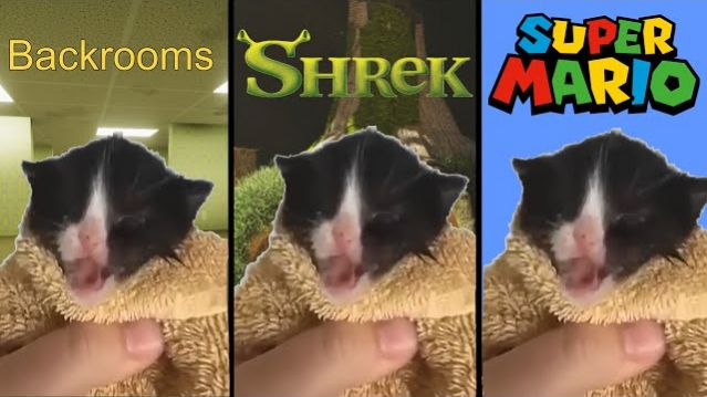 СМЕШНОЙ КОТИК ПОЁТ МУЗЫКУ ИЗ МУЛЬТИКОВ И ИГР! РИНГТОНЫ ТЕЛЕФОНОВ ОТ МЕМНОГО КОТА рЕАКЦИЯ