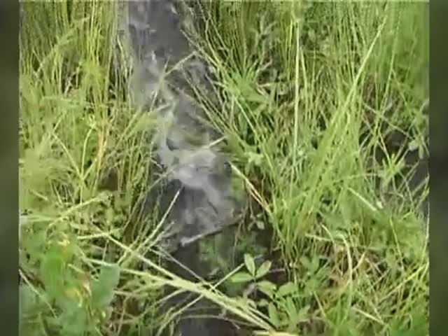 Анатолий Полотно - Ручеек