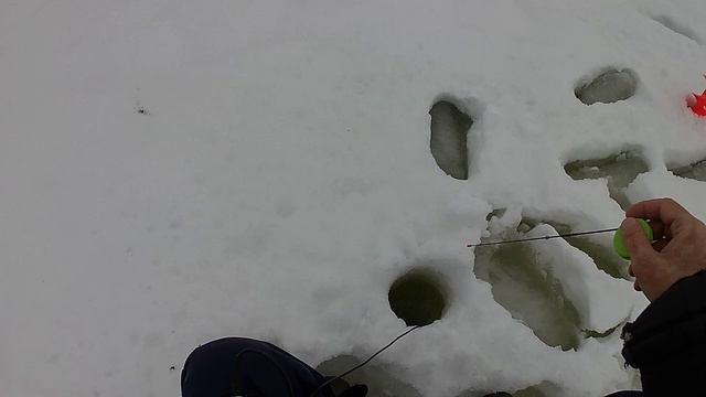 Химкинское 01.03.26 Окунь Клоп22 впай