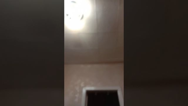 video_20260314_230341.mp4