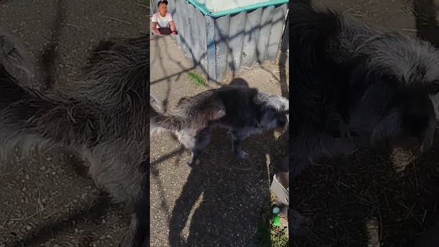 Еще один день