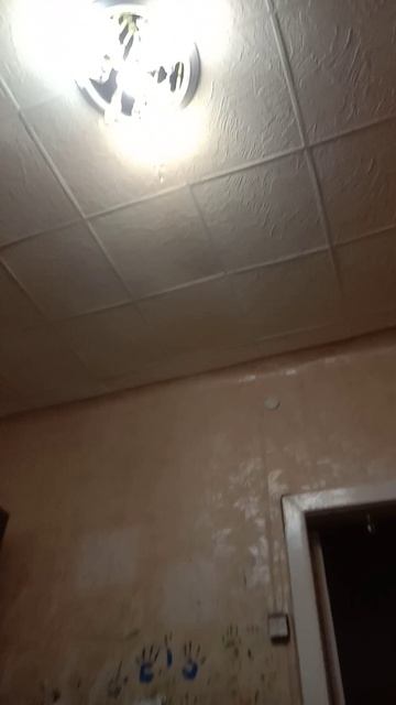 video_20260314_230307.mp4