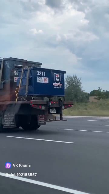 енот отказался от переезда