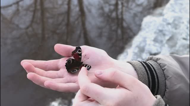 ВЕСНА!!! Природа оживает 🦋