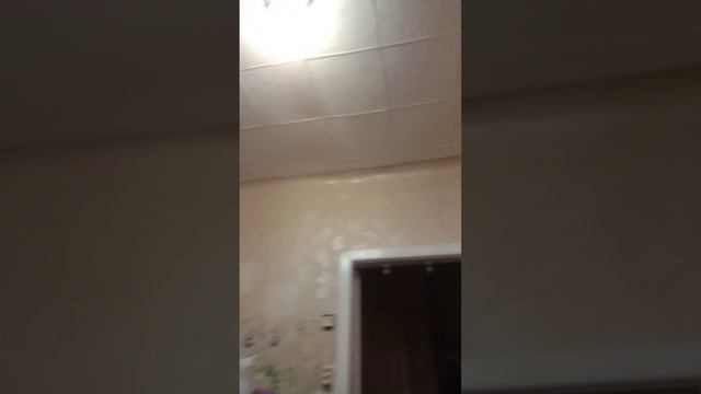 video_20260314_230348.mp4