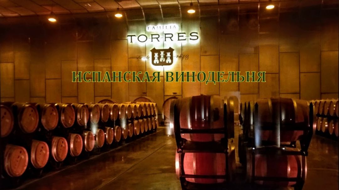 Винодельня Торрес в Испании.
