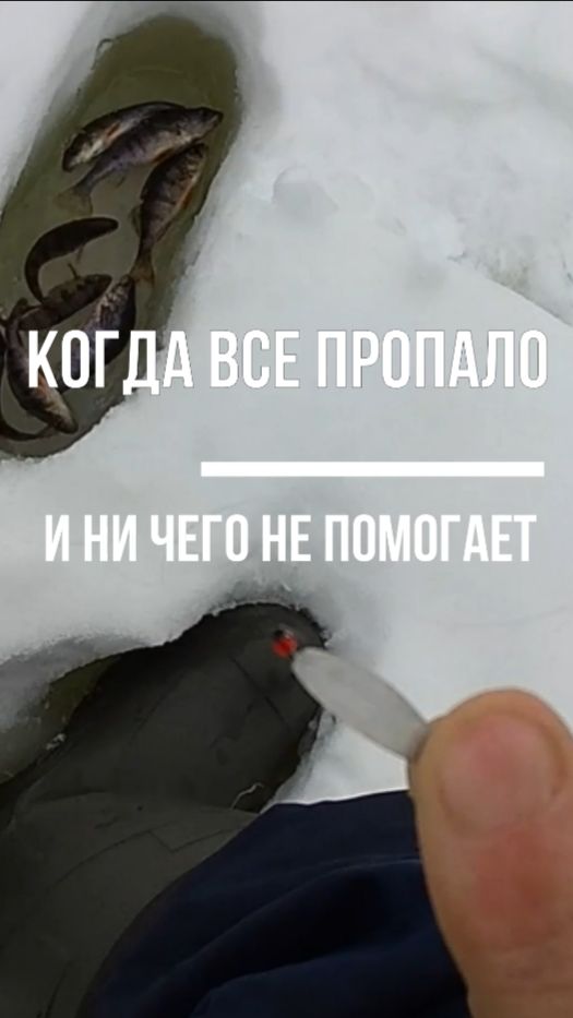 Химкинское 01.03.26 Окунь Блесна