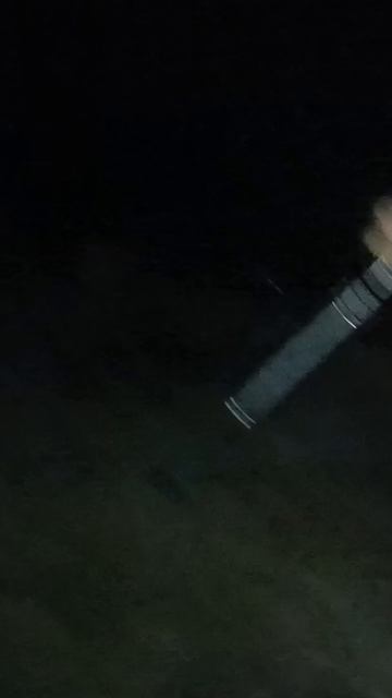 #253 Эндрю против Гамаюн (отрывок из Спектрофобия - 5 серия)