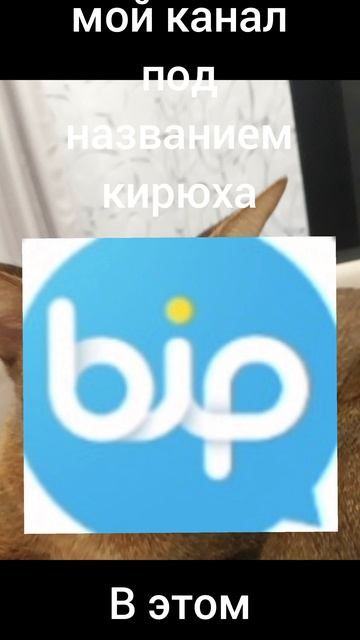 перейди в бип