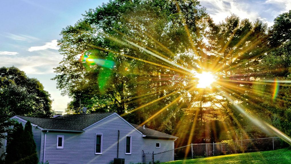 ПО ЗАМЫСЛУ ТВОРЦА.