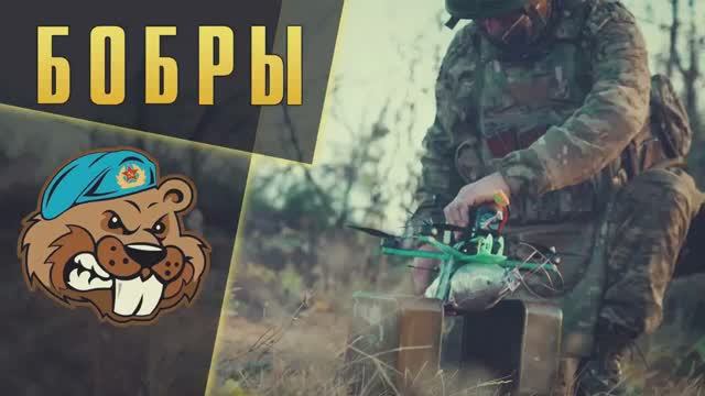 Чичерина, Лупушор, Апачев - Бобры