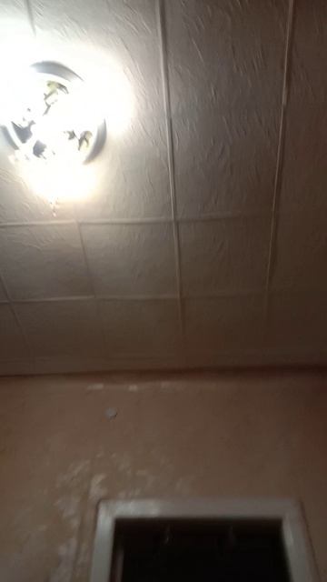 video_20260314_230338.mp4