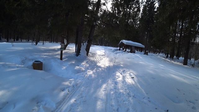 Мартовская прогулка на Липовую гору. Пермь. 13 марта 2026