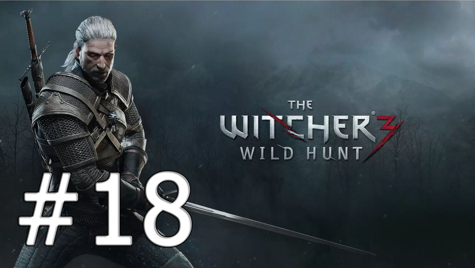 Ведьмак 3 Дикая Охота #18