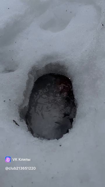 Весенняя капель