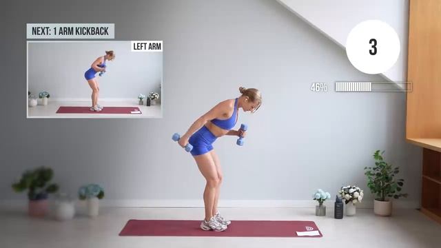 Anna Engelschal - arms