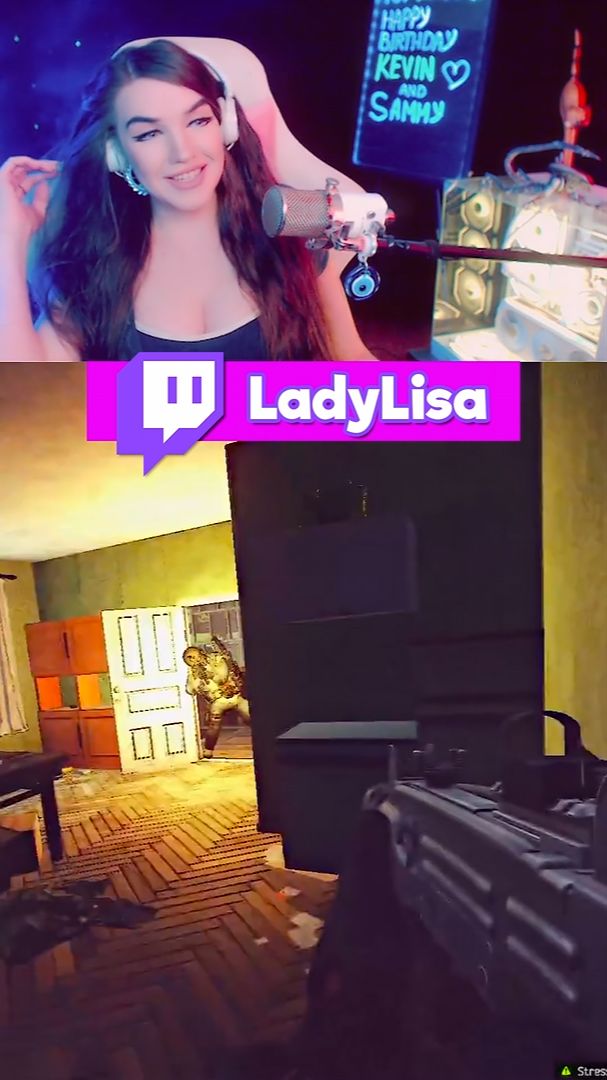 Their profession - proud house sitters #тарков #escapefromtarkov #shorts #girlgamer