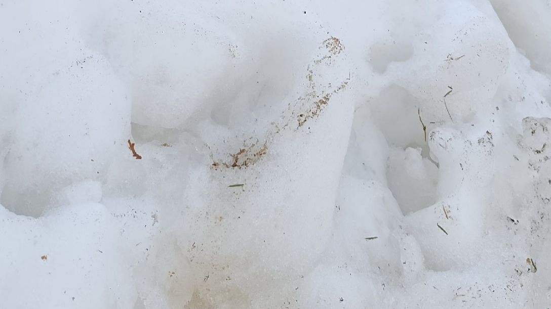 79. РАЗМЫШЛЕНИЯ О ВИРУСАХ