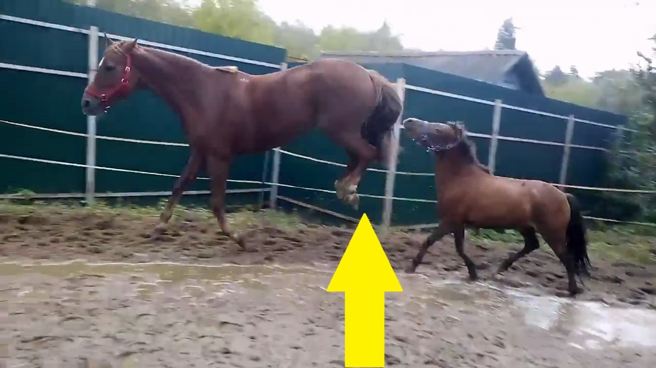 Тренировки в любую погоду