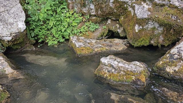 Святой источник в Каманах