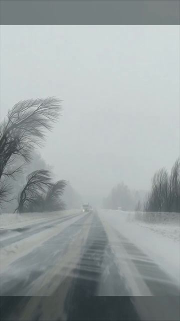 Дорога домой, переходящая в сон