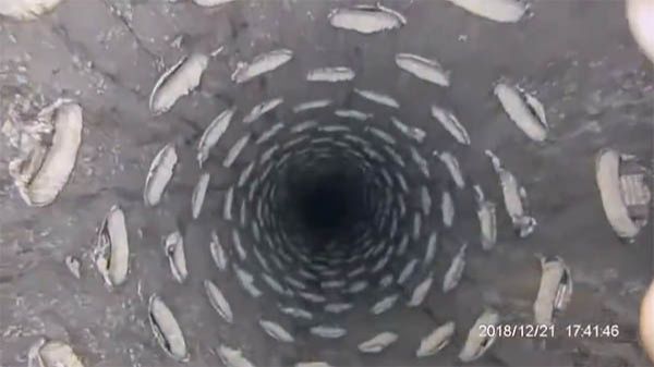 Системы телеинспекции скважин eVIT - тестовое видео_2