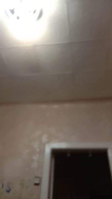 video_20260314_230344.mp4