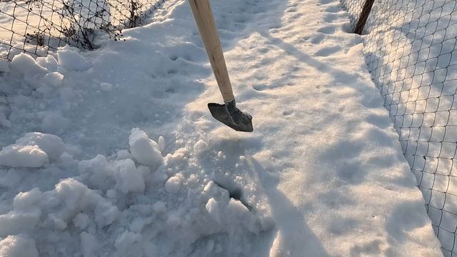 2026-03-13_14 В деревню отвезти велик // Рахманово - вокзал ПП // ст. Болдино - Сушнево-1 // лужи...