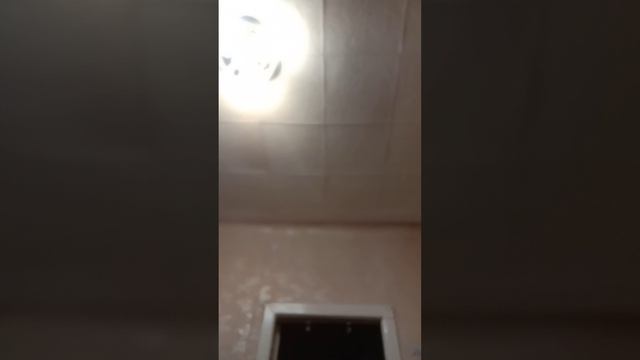 video_20260314_230334.mp4