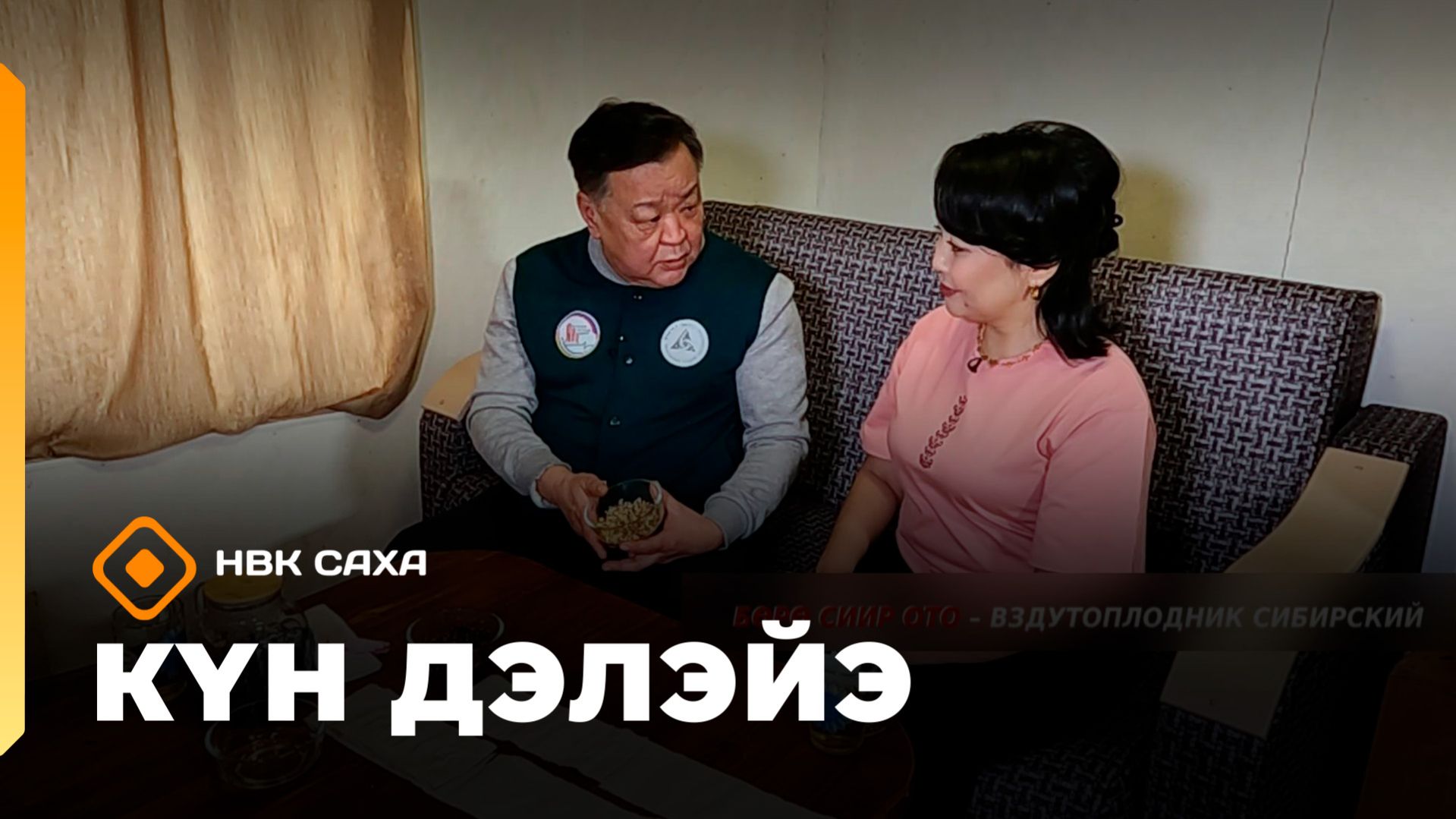 «Күн дэлэйэ»: өлгөм үүнүү туһугар сиэмэни хаар анныгар, булууска тутуу ньымаларын туһунан (14.03.26)