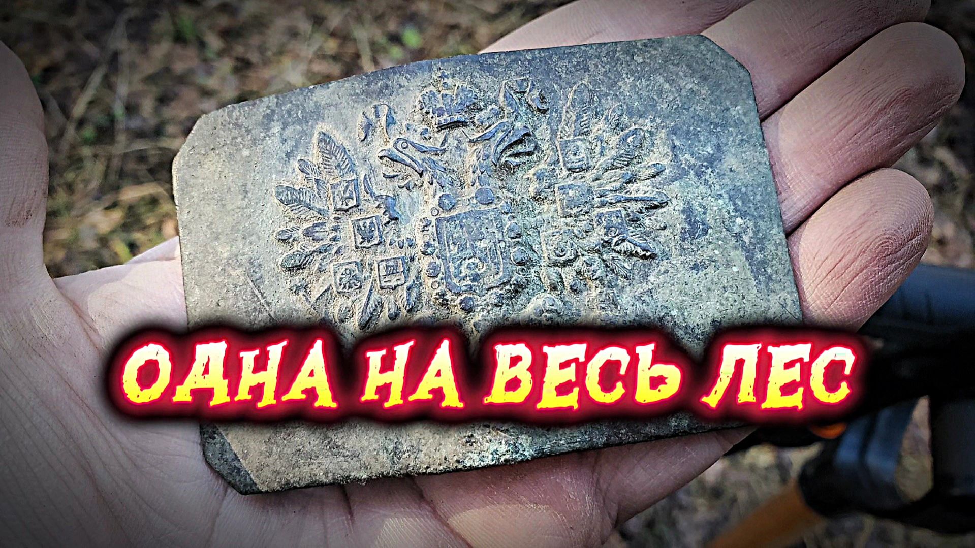 Удача! Она одна на весь лес, и я её нашёл.