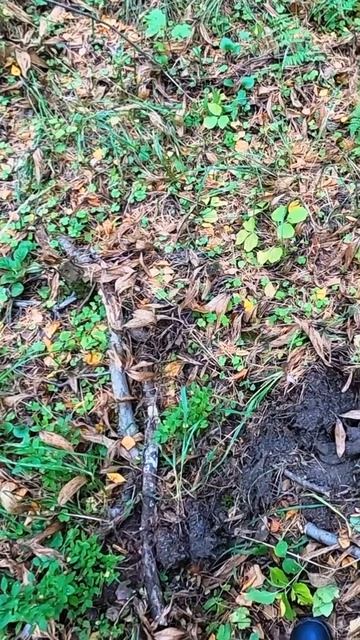 Вот это сигнал!