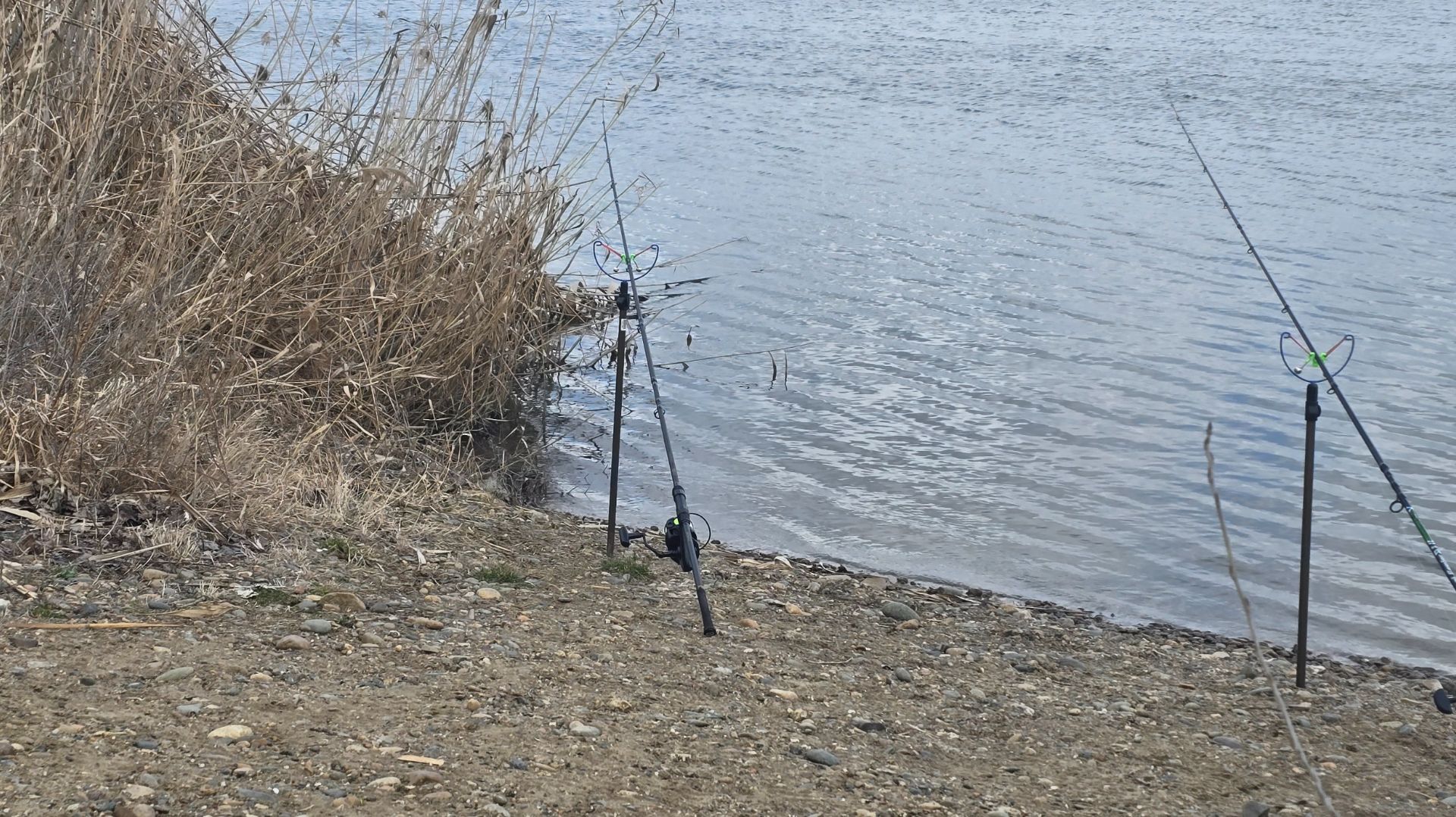 Рыбалка на "платном дикаре". Хотели? Получите!