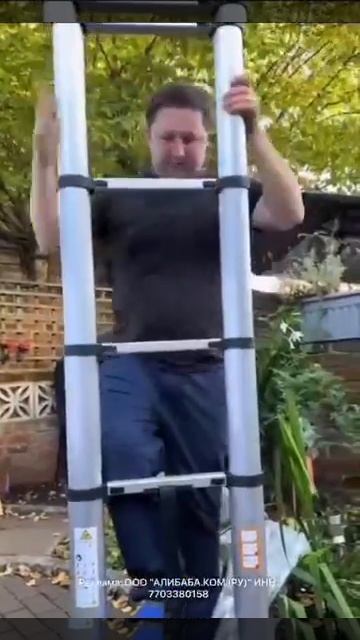 1890. Телескопическая лестница