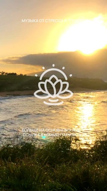 Эта музыка перезагружает мозг на 100% 👍 Одень наушники и забудь про все 🌿 Расслабься на 100% сейча