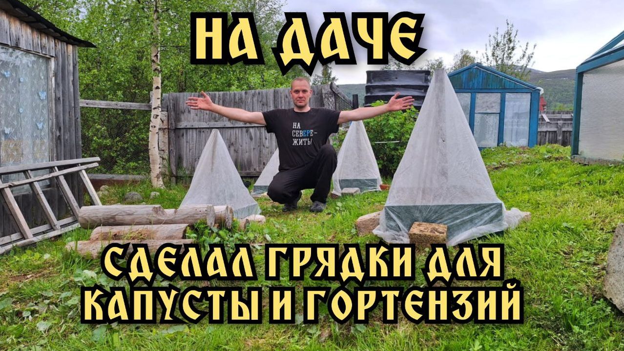 На даче. Гортензии. Капуста.Грядки для капусты и гортензий.