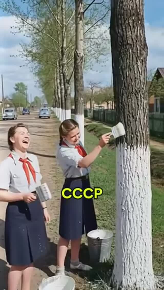 Зачем в СССР на самом деле красили деревья в белый цвет.