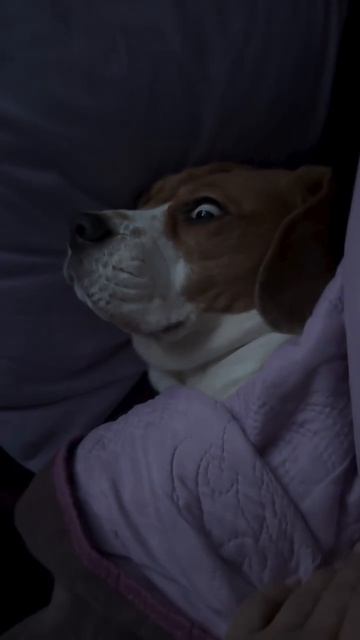 Когда меня будят рано в выходной день