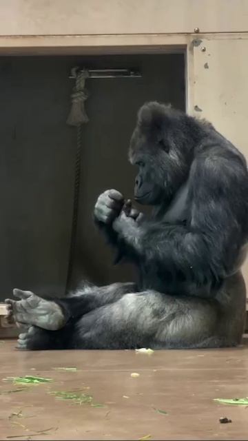 Просыпаемся